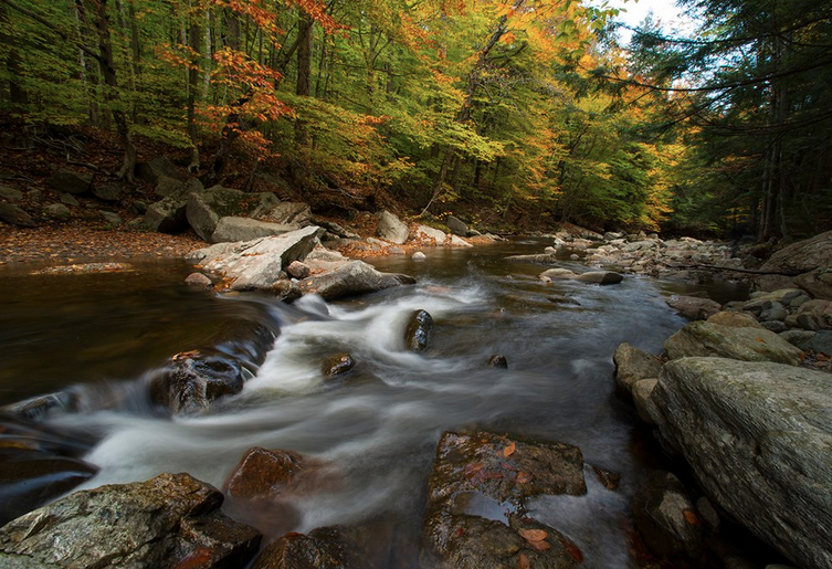 Wit's End: February 2013