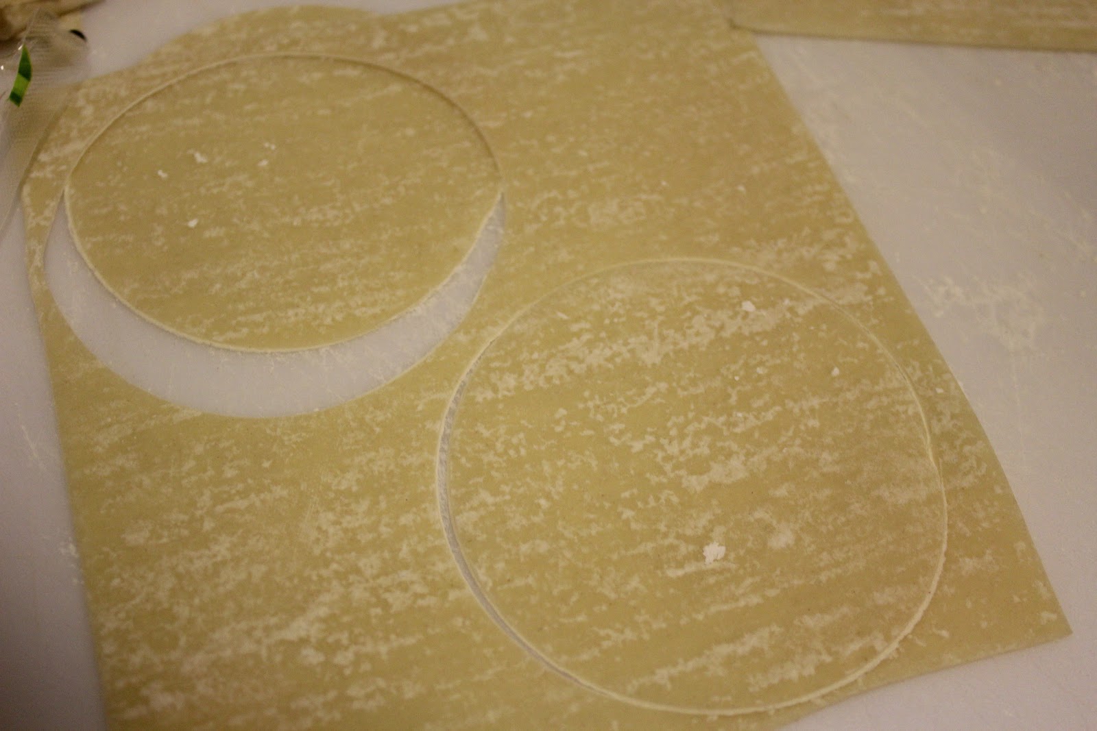 Delicious Dishings: Buffalo Chicken Fried Ravioli