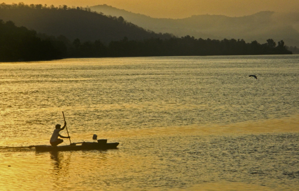 Crocodile safari at Maldoli backwater,Maharashtra,India | Travel life ...