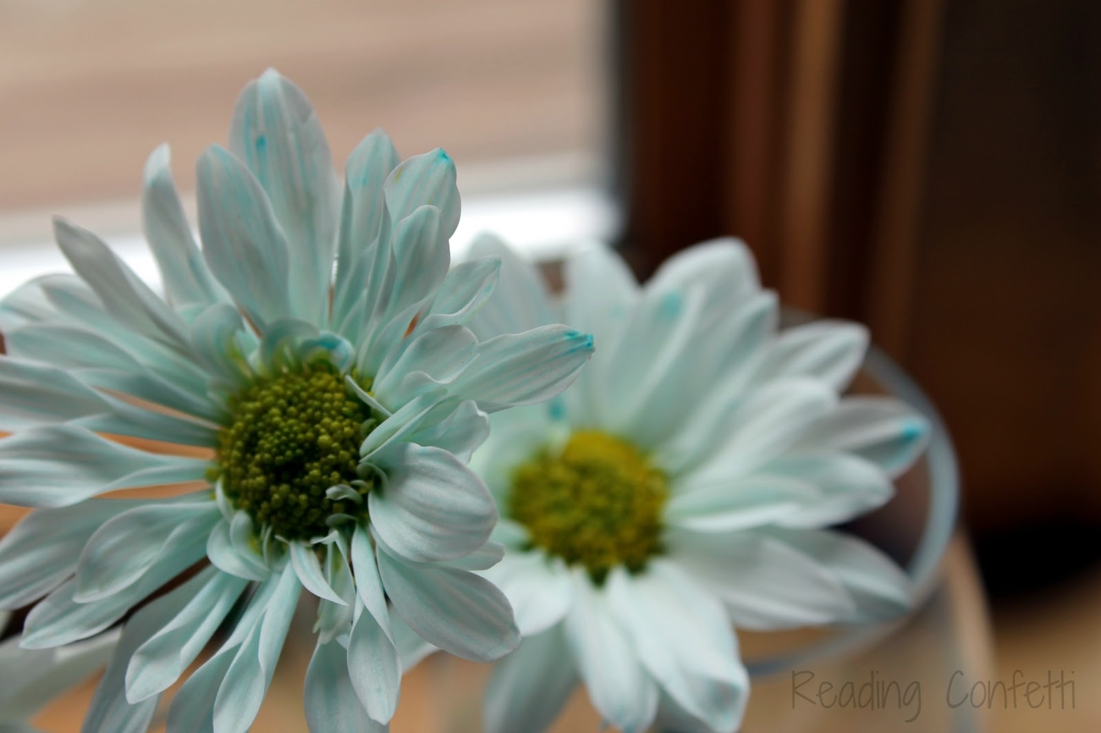 Flower Race: Preschool Science ~ Reading Confetti