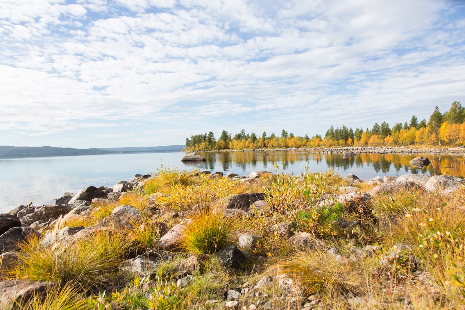 Lappland Nature: Hösten är här