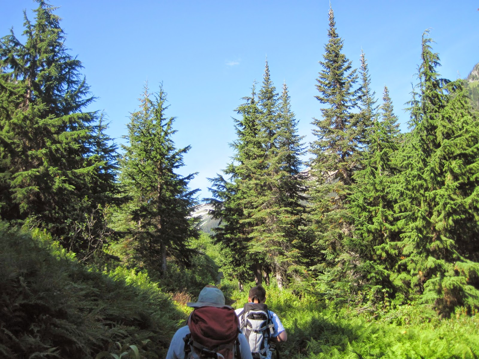 Wanderlust: Balu Pass: Glacier National Park
