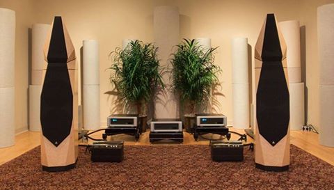 AVALON ACOUSTICS SAGA SPEAKERS – M & S | Ultimate High-Fidelity