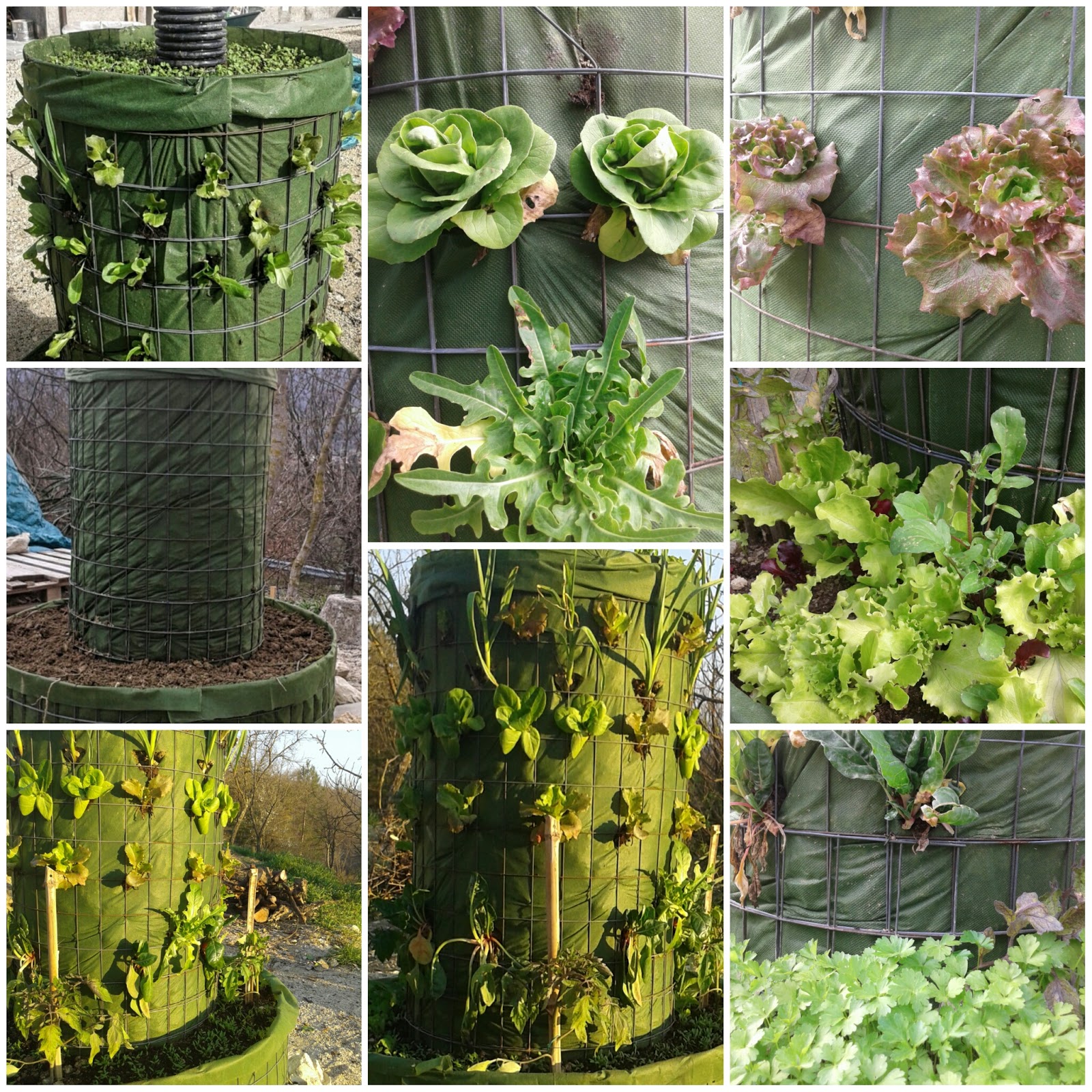 Il Giardino di Zerdesht: Come realizzare un orto verticale