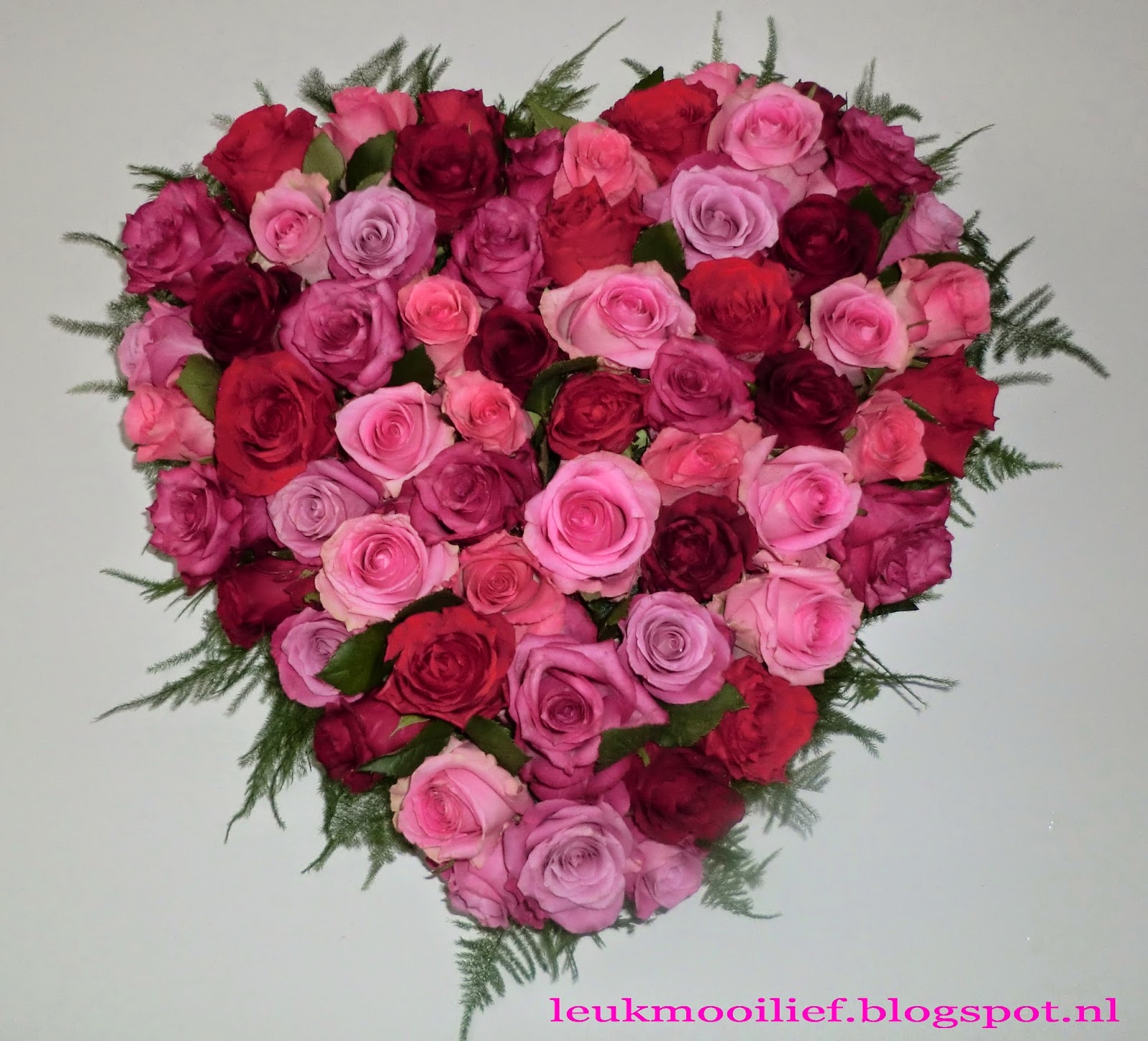 Leuk Mooi Lief: Hart van rozen