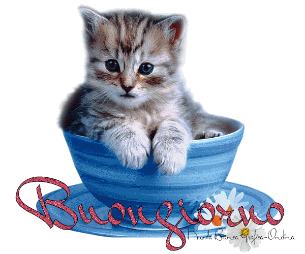 EMOZIONANDO: BUON RISVEGLIO