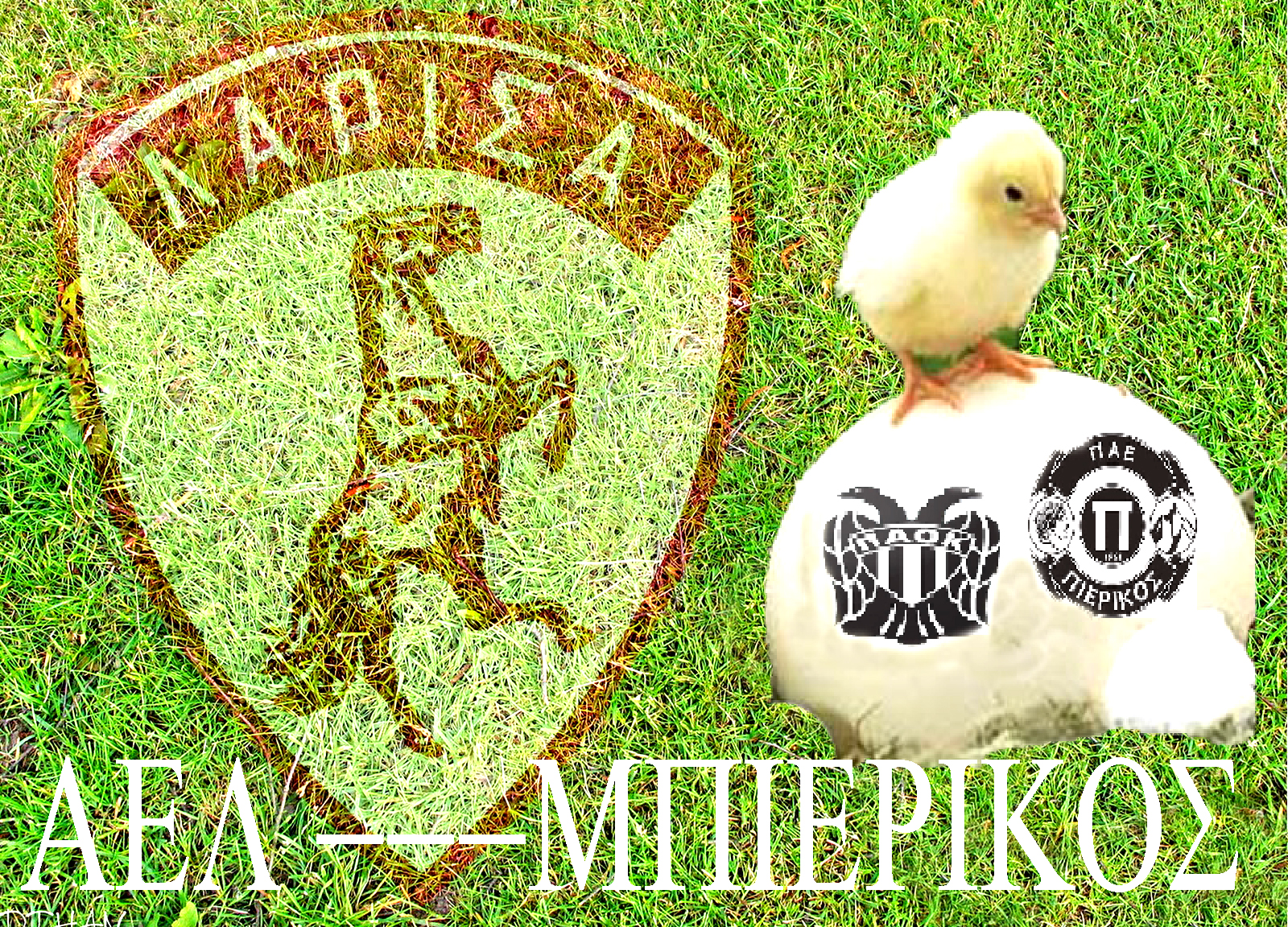 ΑΛΟΓΟΜΗΛΟΣ: Η ΚΟΤΑ ΚΑΙ ΤΑ ΑΥΓΑ ΤΗΣ!!!!