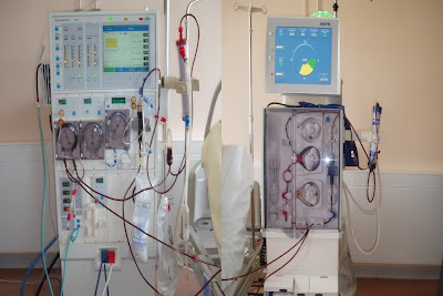 TPE 2012 - 2013 : Dans quelles mesures la dialyse peut-elle remplacer ...