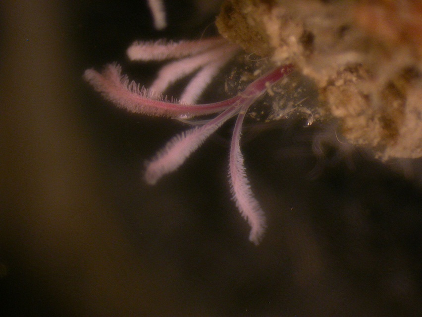 Real Monstrosities: July 2012