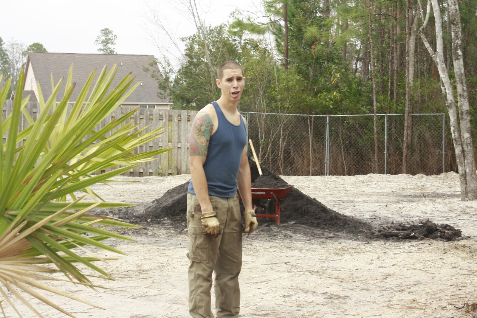 Baking in Sunshine: Make do or do without.