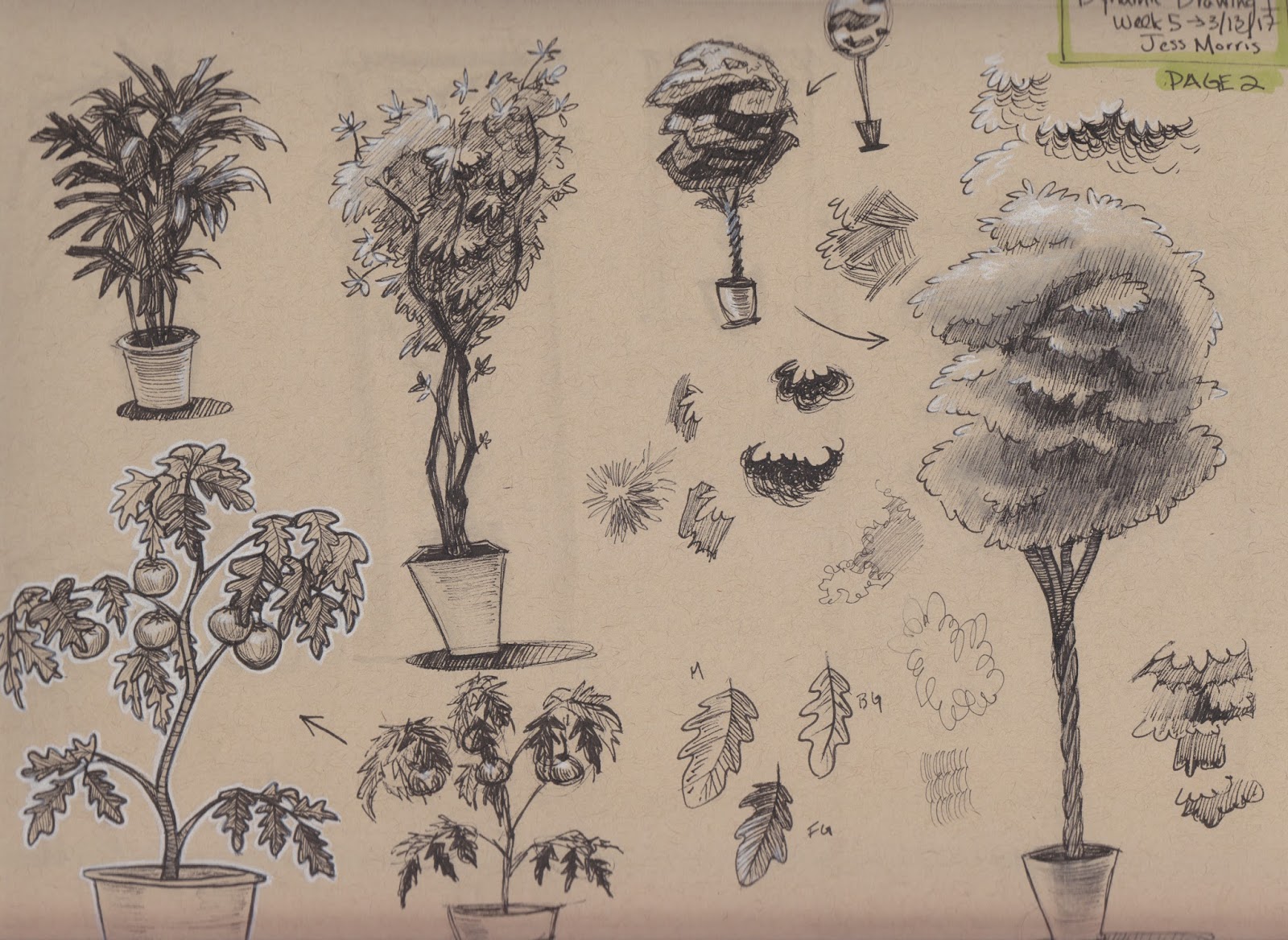 Jess Morris Animator: Class Review: Dynamic Sketching 1 with Peter Han ...