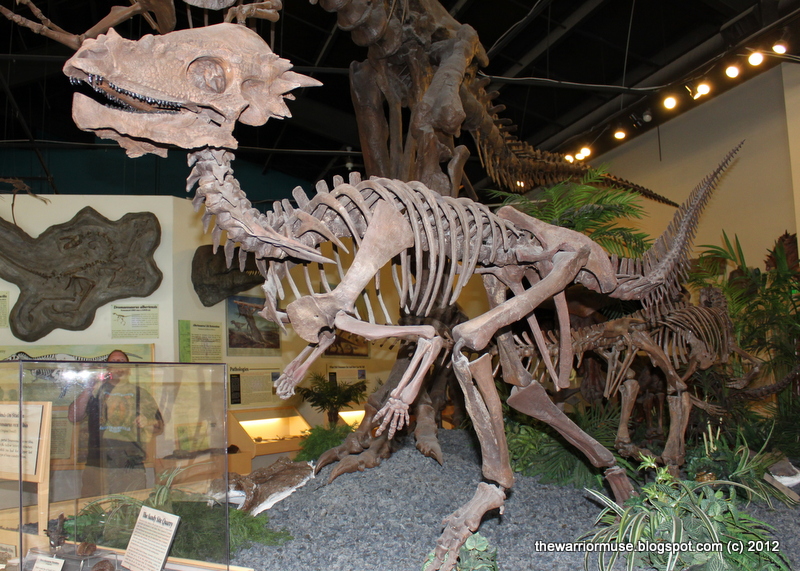 Pachy has human hands...... : r/jurassicworldevo