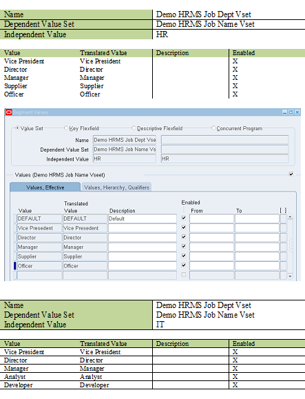 Oracle Applications: Oracle Apps Core HRMS Functional Setups