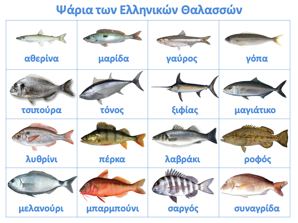 Νηπιαγωγός για πάντα....: Ζώα της Θάλασσας: Πίνακες Αναφοράς