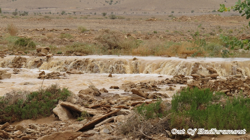 In Hadhramout, rain is a great blessing and can be destructive