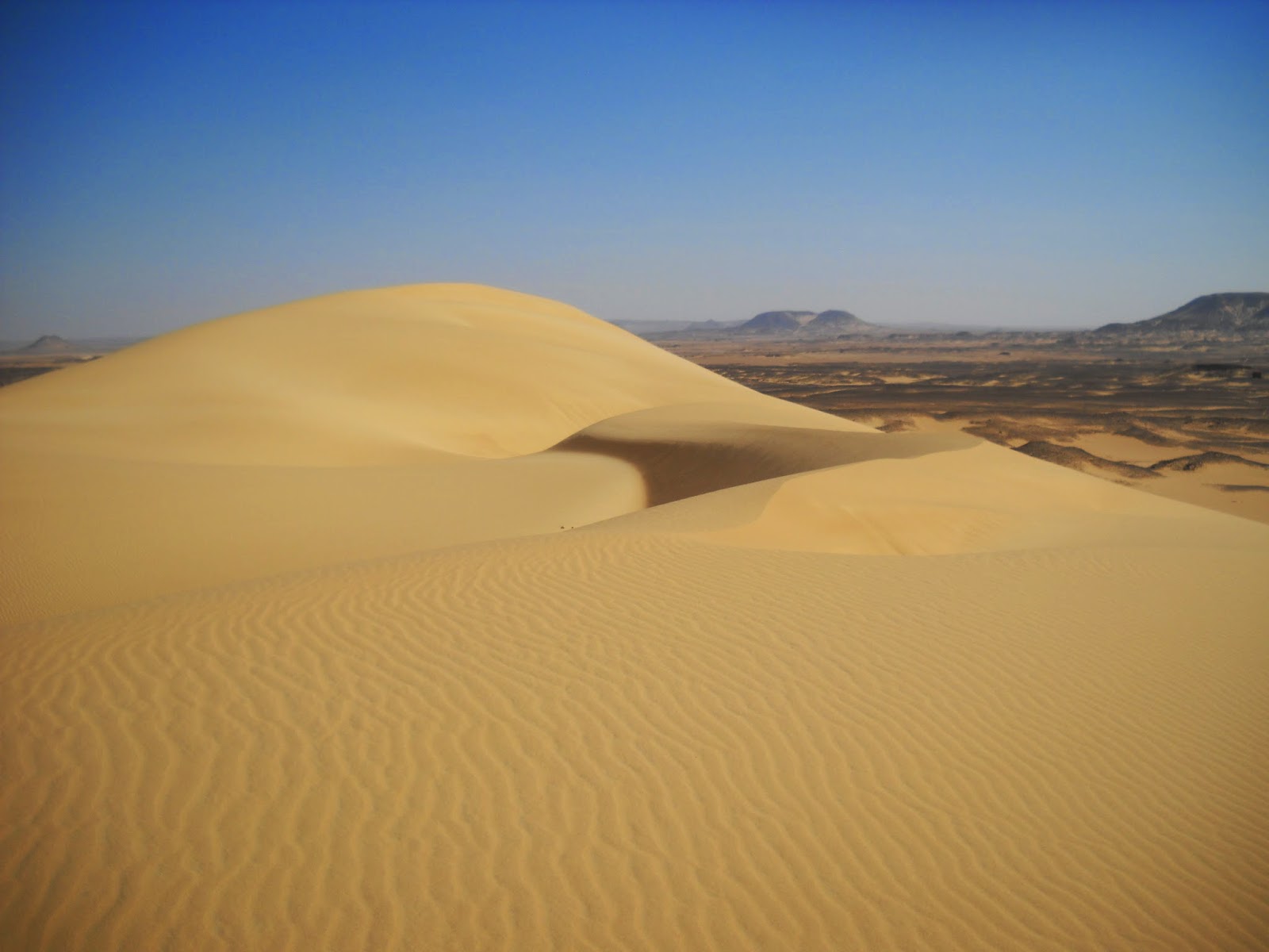 Egyptian desert: photo
