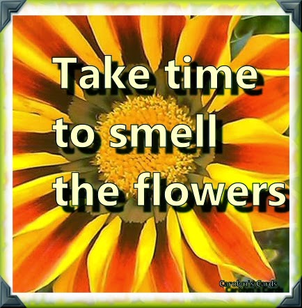 Open Your Eyes. Life Is Beautiful: Take time to smell the flowers
