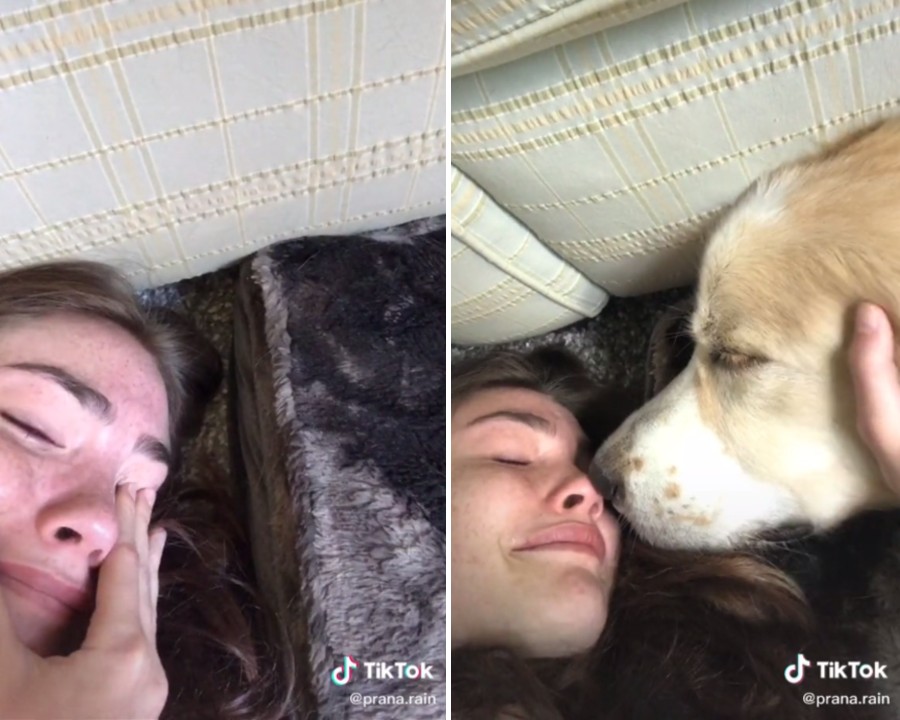 Joven se despide de su perro con cáncer terminal en desgarrador Tik Tok - Imperio Noticias
