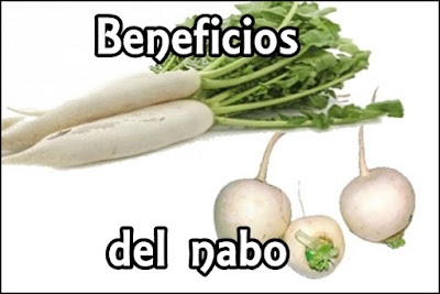 Eres lo mejor de mi vida: Beneficios del nabo
