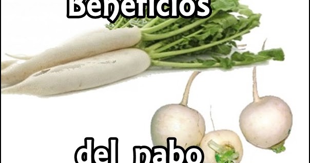 Eres lo mejor de mi vida: Beneficios del nabo