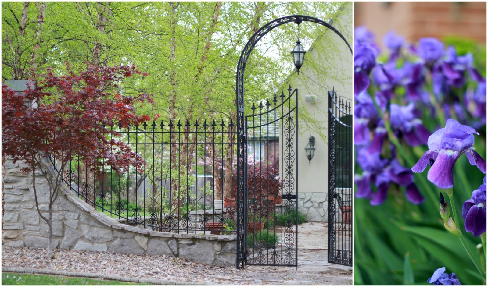 Musings: St. Louis Spring Garden Walk