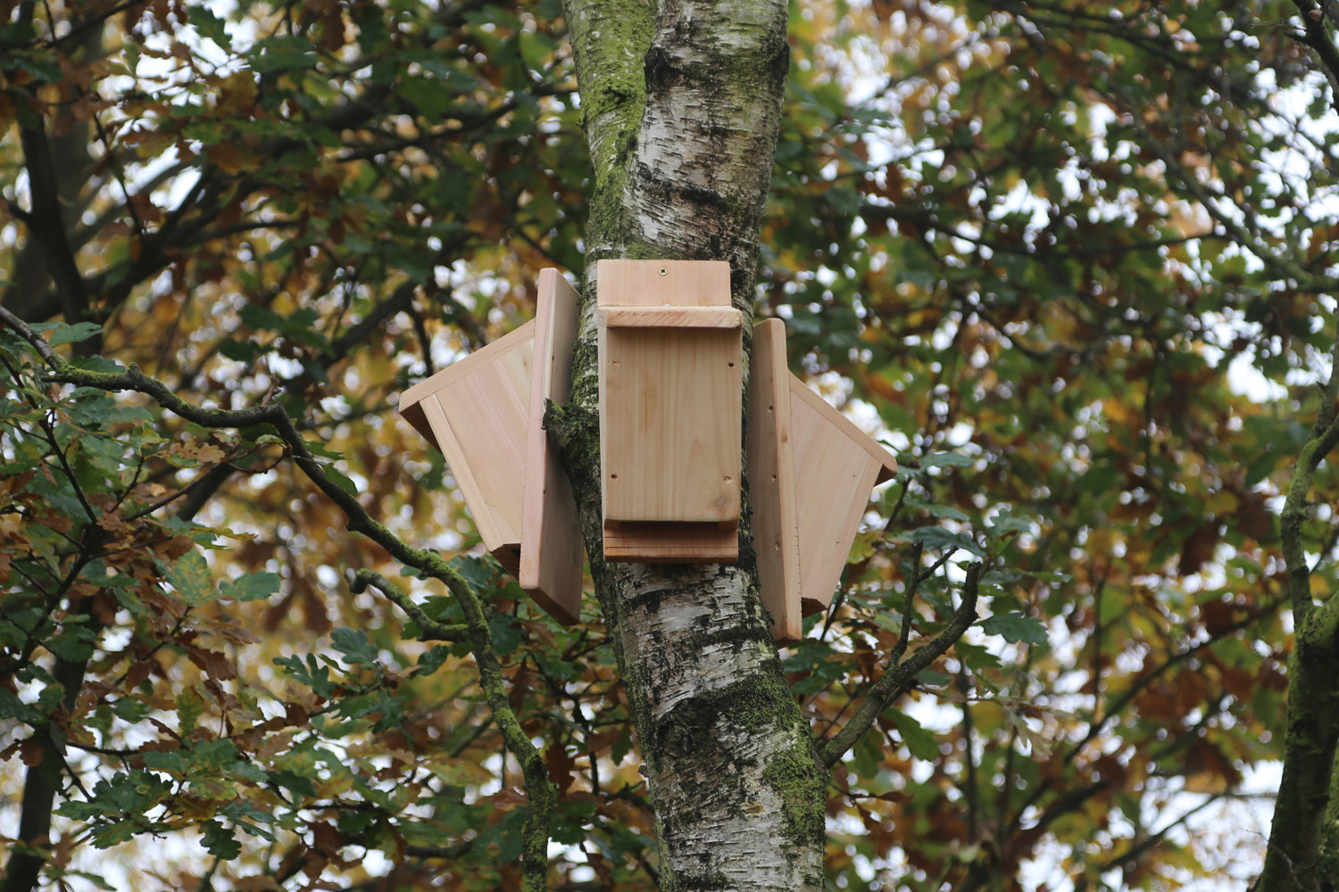Bird and Bat Boxes at Allerthorpe
