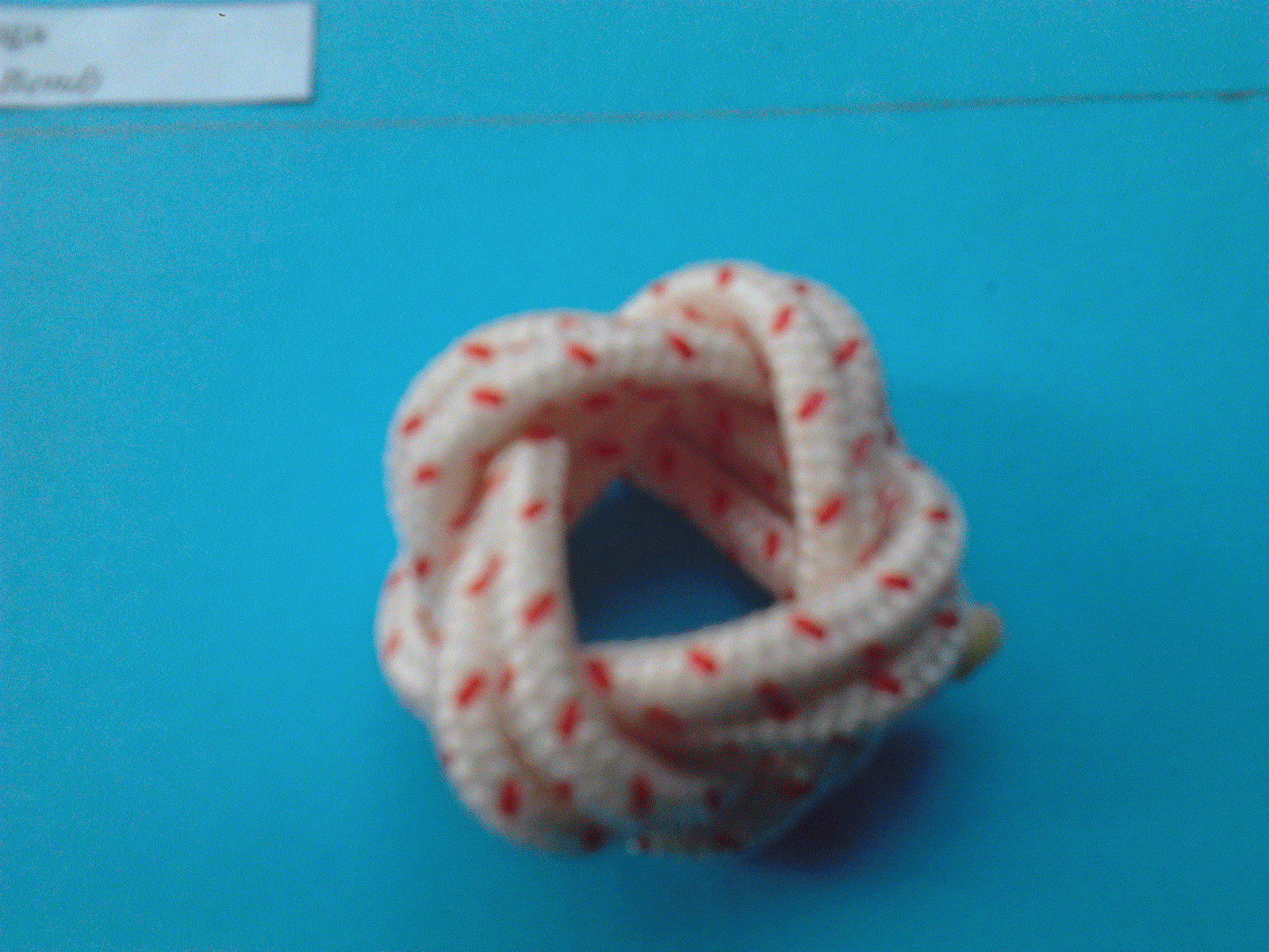 maswafi.blogspot.com: Lencana Kemahiran (Ikatan dan Simpulan)