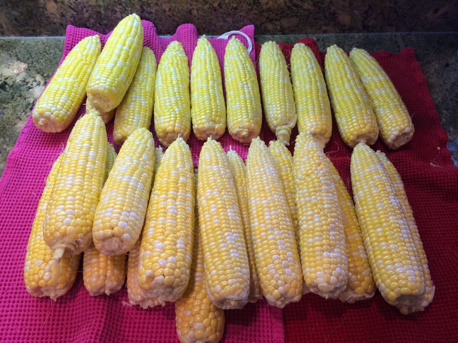 Imperfect Progress: Corn O' Plenty