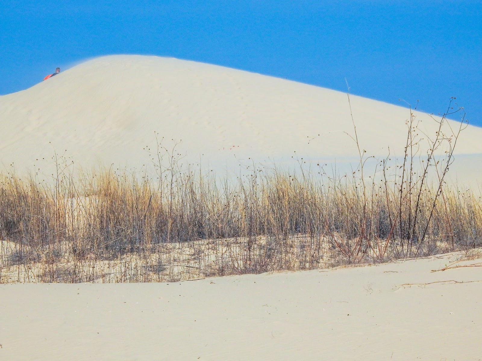 Trip Photo Story: Monahans Sand Dunes State Park - A Photo Tour