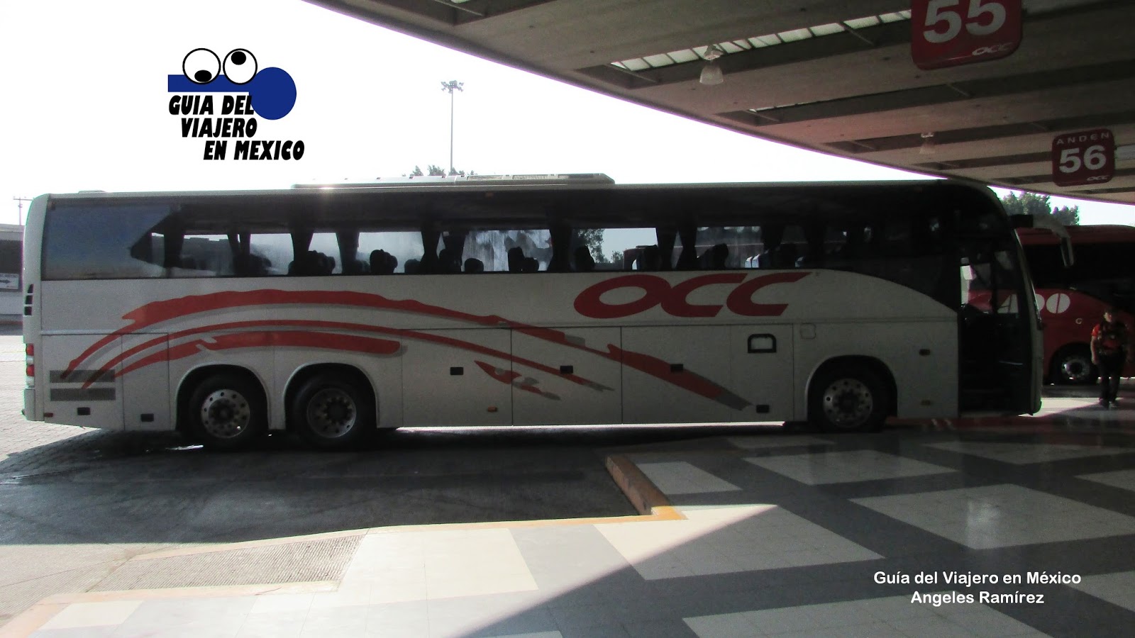 Las líneas que forman Movility ADO