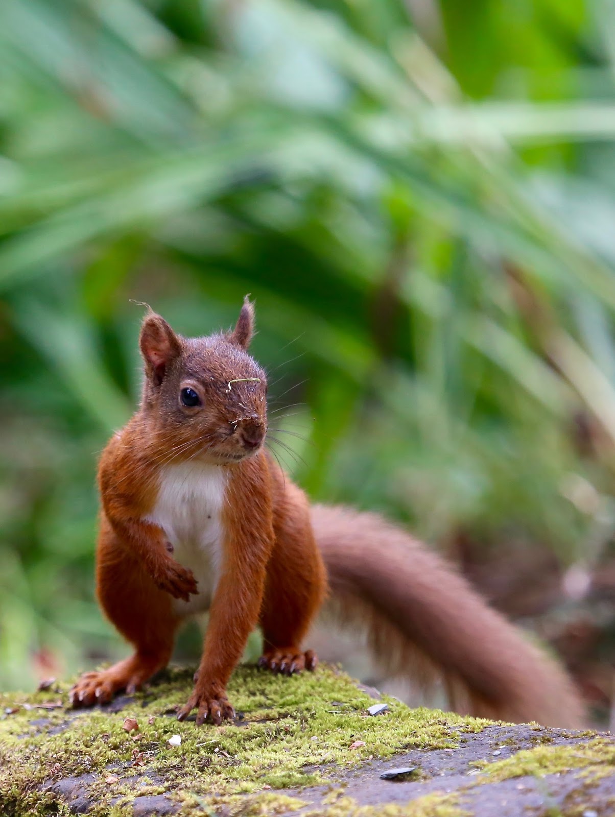 Maria's Blog: Hazelnut Breakfast.