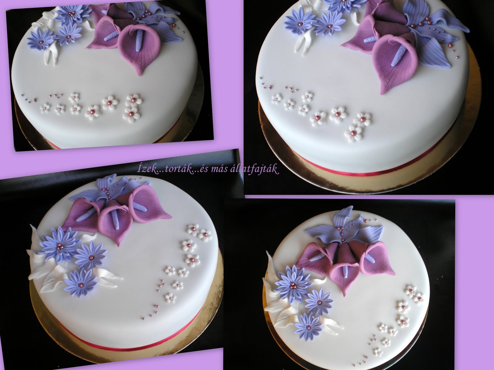 Ízek...torták...és más állatfajták: CSAK TORTÁK