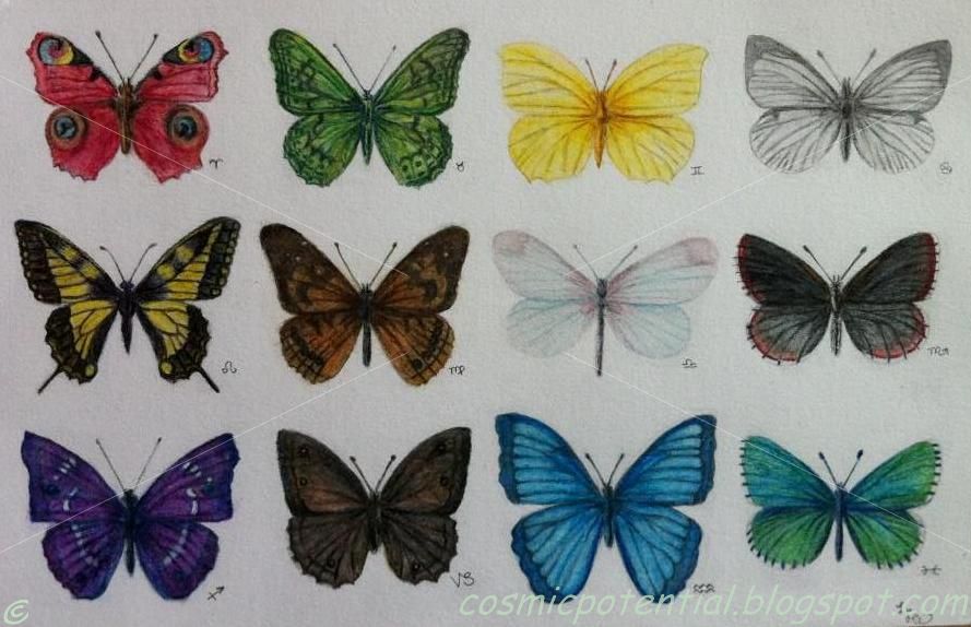 Cosmic Potential - Astro Interpreter: Zodiac Butterflies