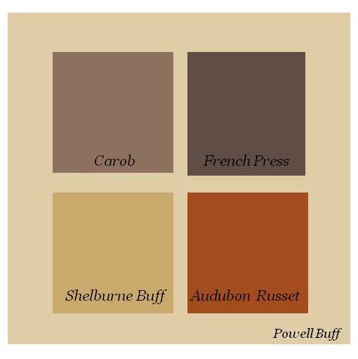 C.B.I.D. HOME DECOR and DESIGN: MANLY COLOR ADVICE
