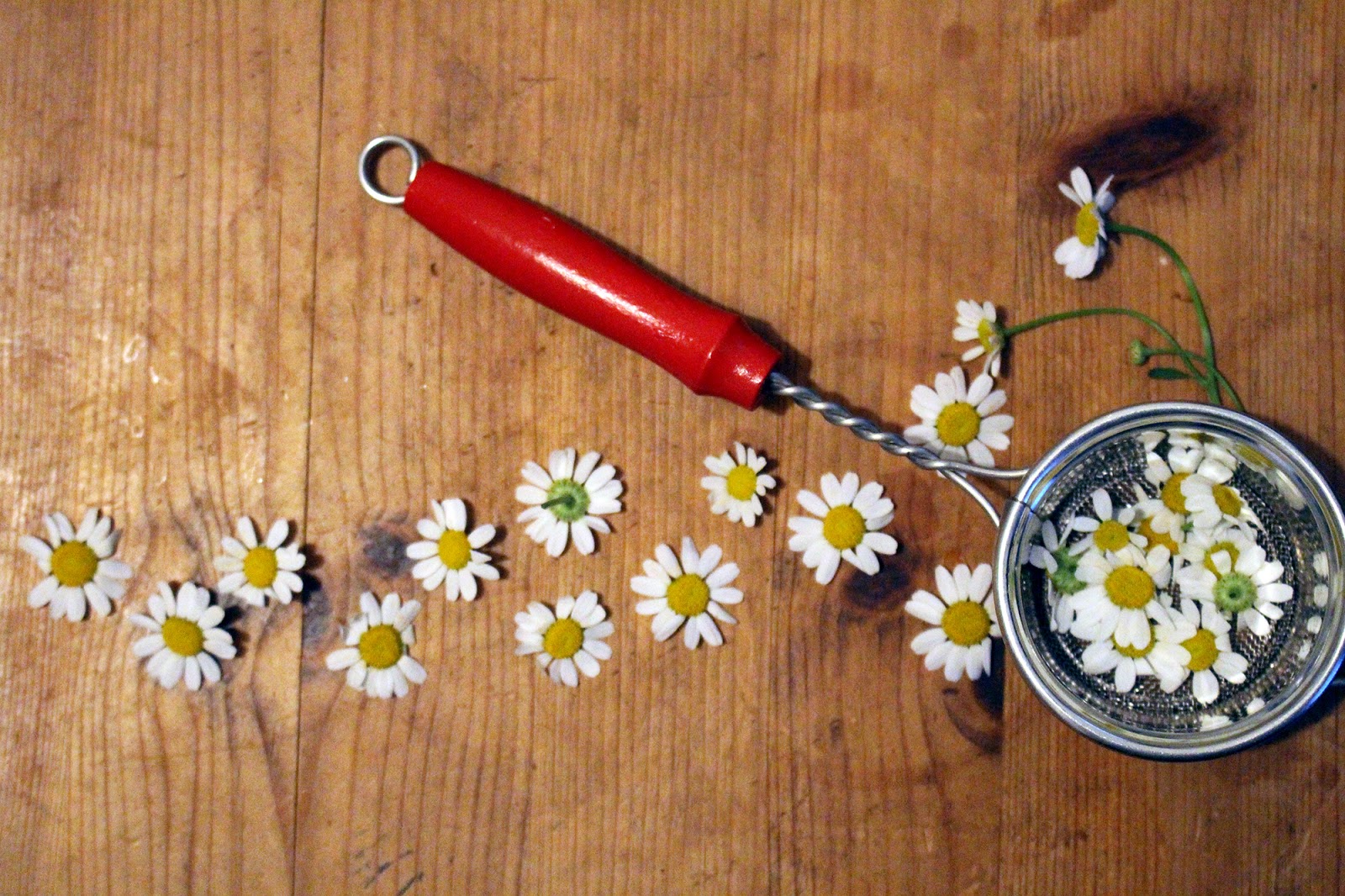 Enkoppte.nu: Eget kamomillte med fina etiketter