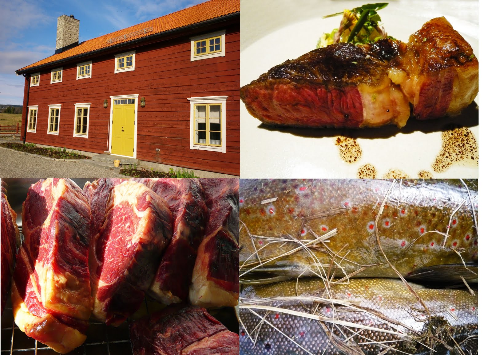 FOOD INTELLIGENCE: Connaissez-vous Faviken Magasinet de Magnus Nilsson ...