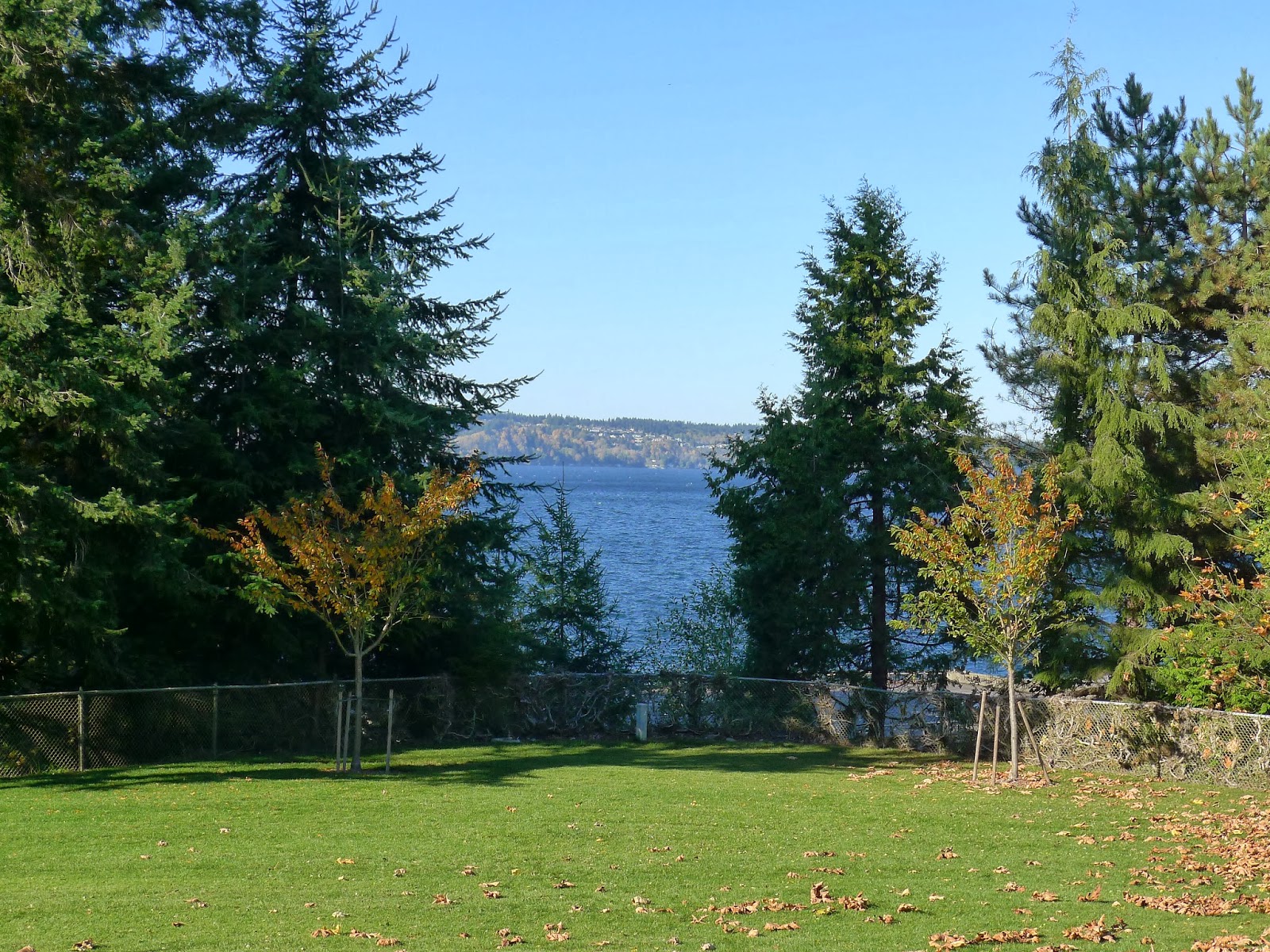 Good Life Northwest: Happy November - Photo Tour of Point Defiance Park