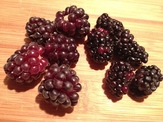 in the Hopeful Kitchen: Blackberry Slump