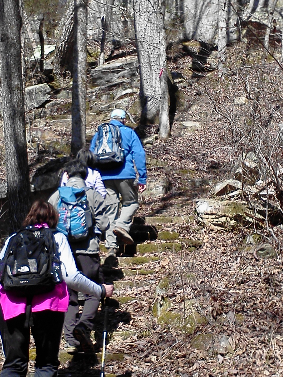 Today is a good day to walk: Tishomingo State Park Hike