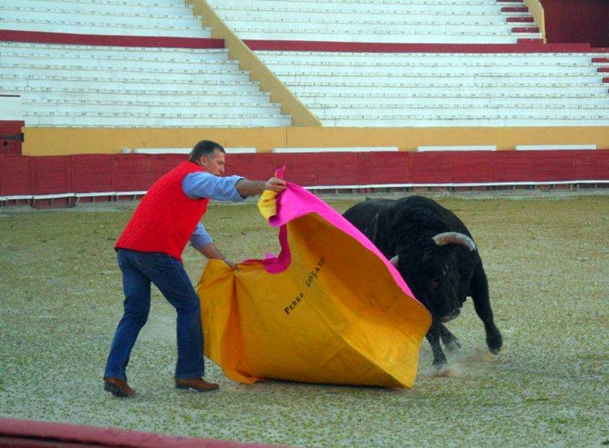 El Redondel Taurino: MÁRIO ALCALDE NOVILLERO ESPAÑOL REALIZA VARIOS ...