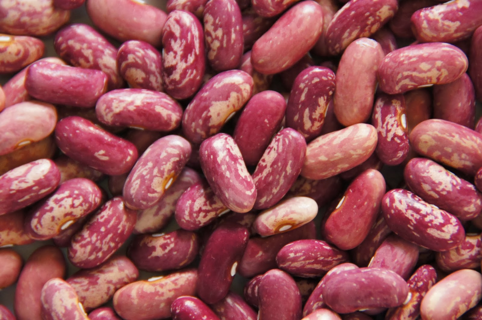 A Thinking Stomach: 2013 Bean Report (Better Late Than Never)