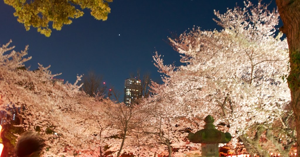 little japan mama : Travel Log