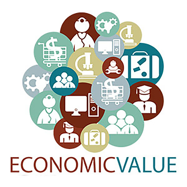 Managementsinhala | Introduction to Economics | Marketing Management ...