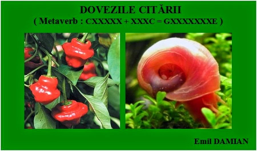 PĂTRĂȚICĂ-blog-Aidimireanu-Stoian: DOVEZILE CITĂRII - Enigmă de Emil DAMIAN