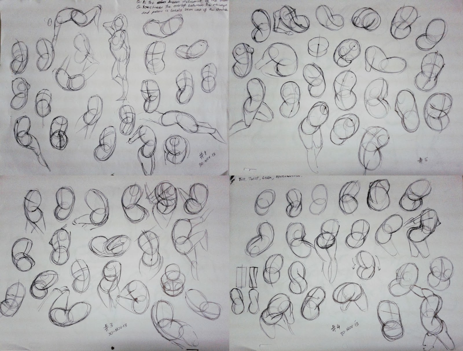 THE GREEDY PENCIL: Day 31 - Proko Bean Torso