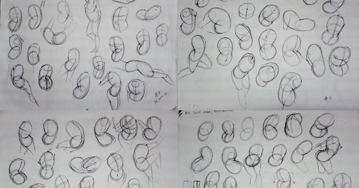 THE GREEDY PENCIL: Day 31 - Proko Bean Torso