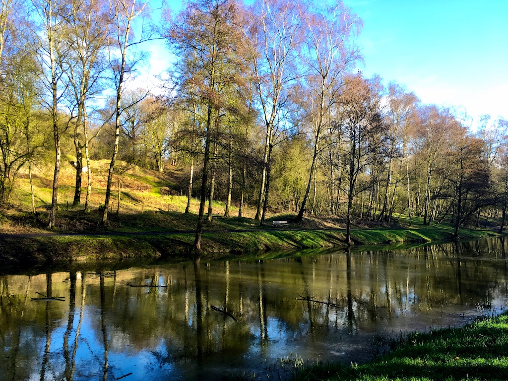 Alles komt goed... : Palingbeek, deze morgen...