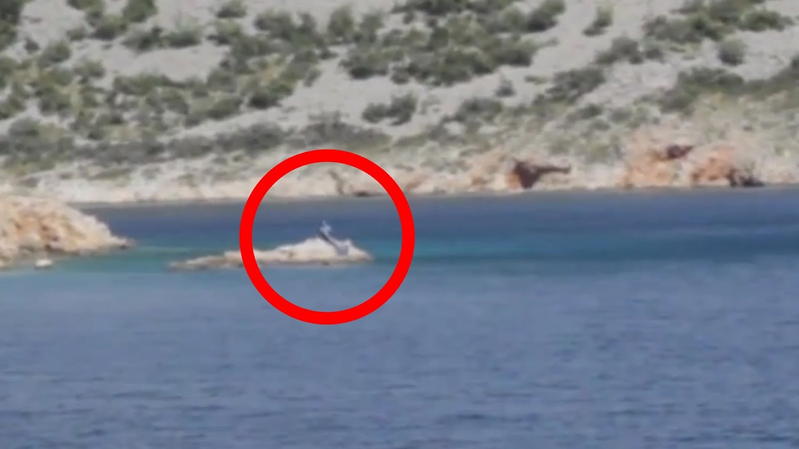 5 Mermaids Caught On Camera & Spotted In Real Life!