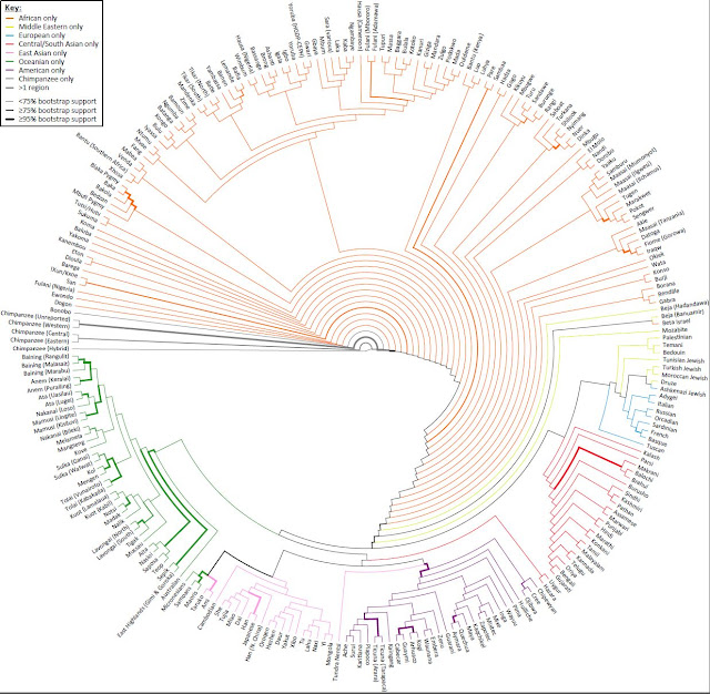 Dienekes’ Anthropology Blog: Analysis of multi-merge dataset of human ...