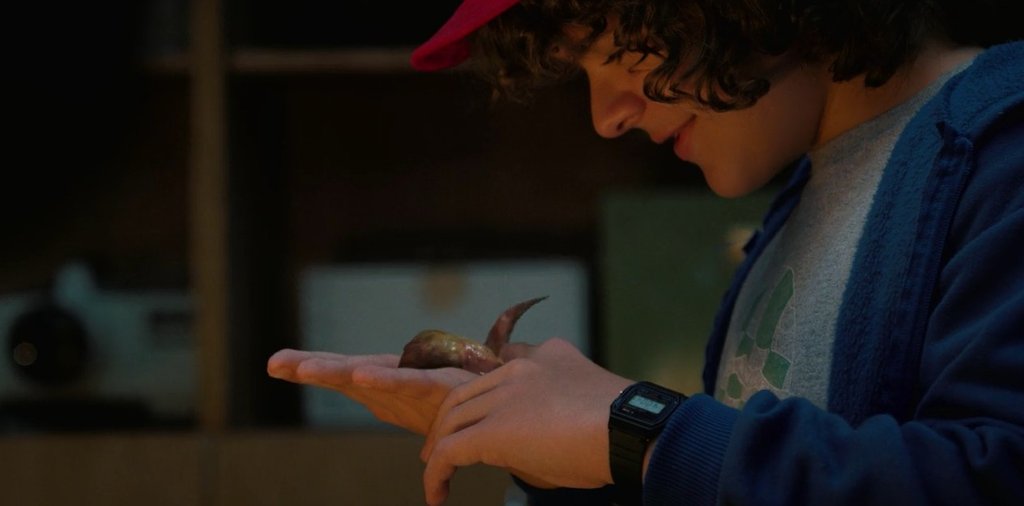 LA CIENCIA DE LA VIDA: Seres extraños de Stranger things